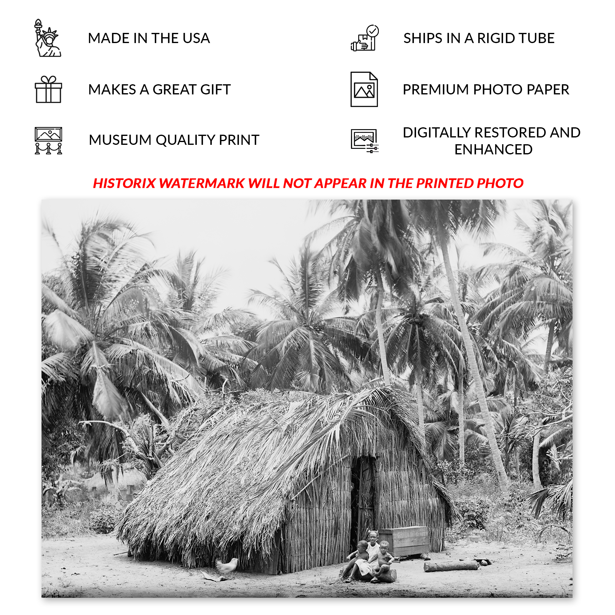 1903 Typical Puerto Rican Hut in Puerto Rico Print Photo Wall Art ...