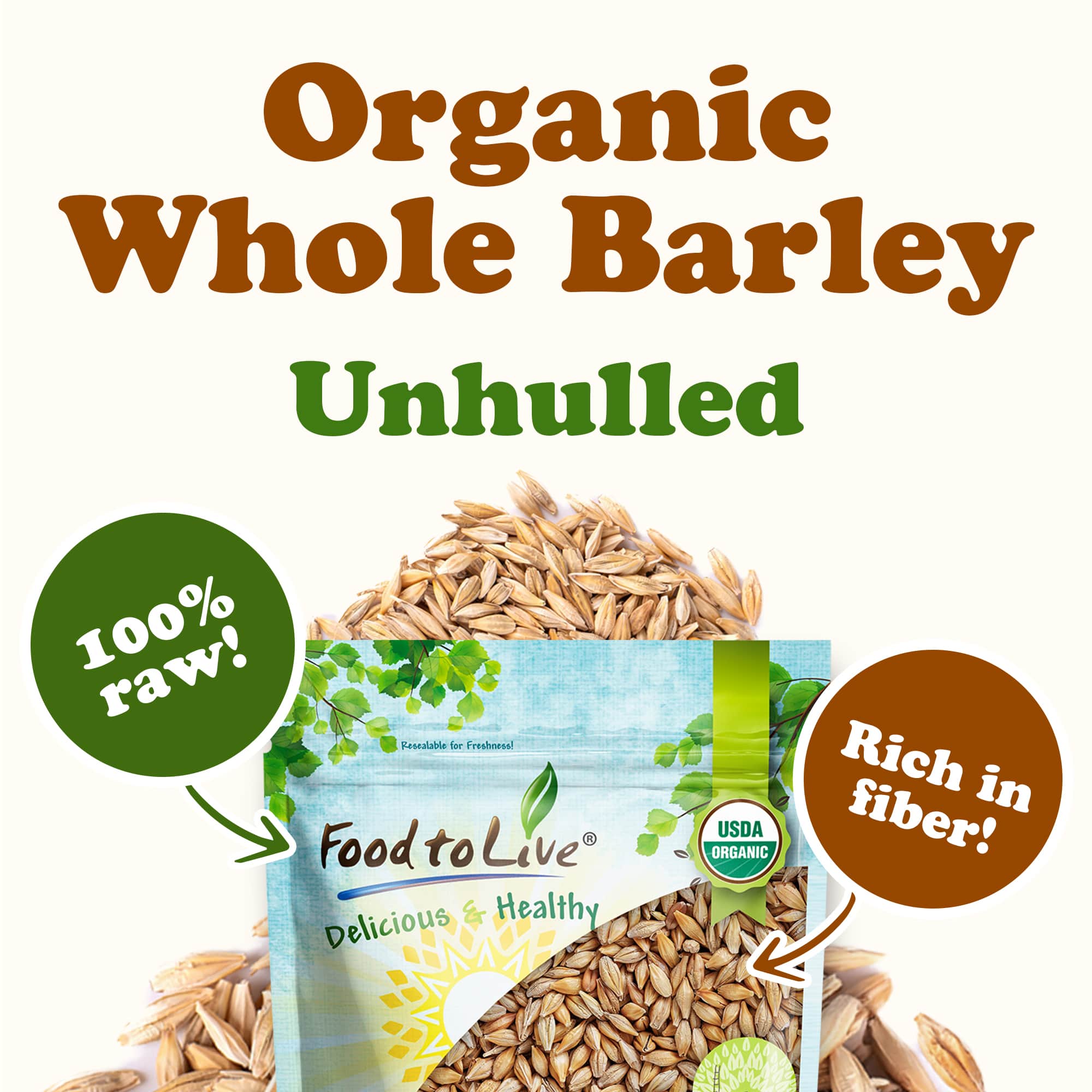 Organic Whole Unhulled Barley – Premium Quality Seeds with Husk Intact ...