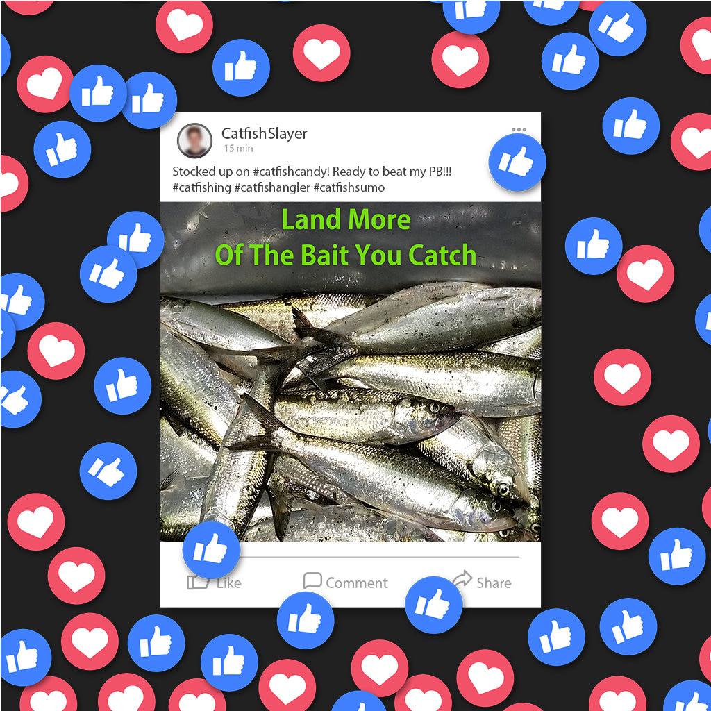 Sumo Spoons: Catfishing Bait Lure for Skipjack, White Bass, Striped ...