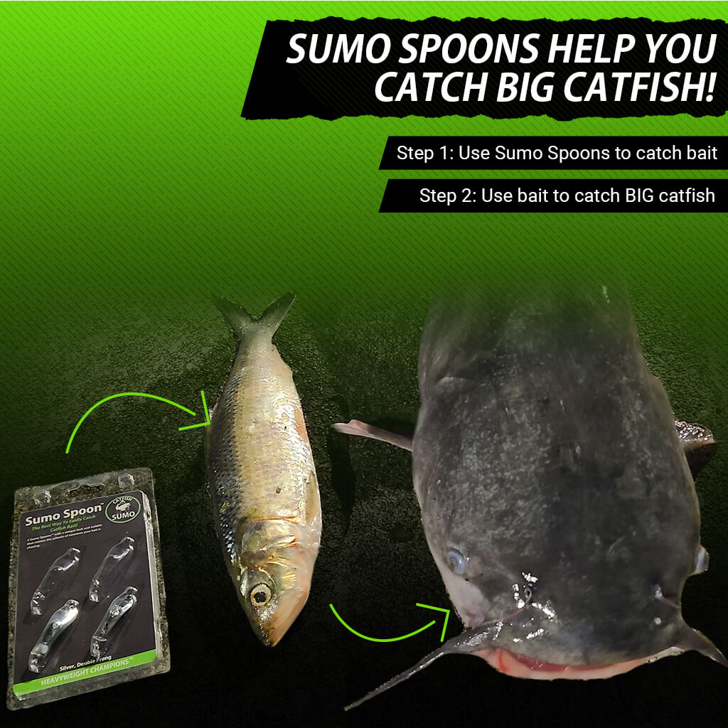 Sumo Spoons: Catfishing Bait Lure for Skipjack, White Bass, Striped ...