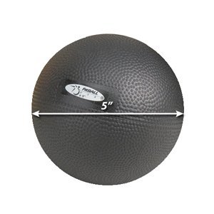 FitBALL 5" Advanced Body Therapy Ball FBBODY 5 for sale online | eBay